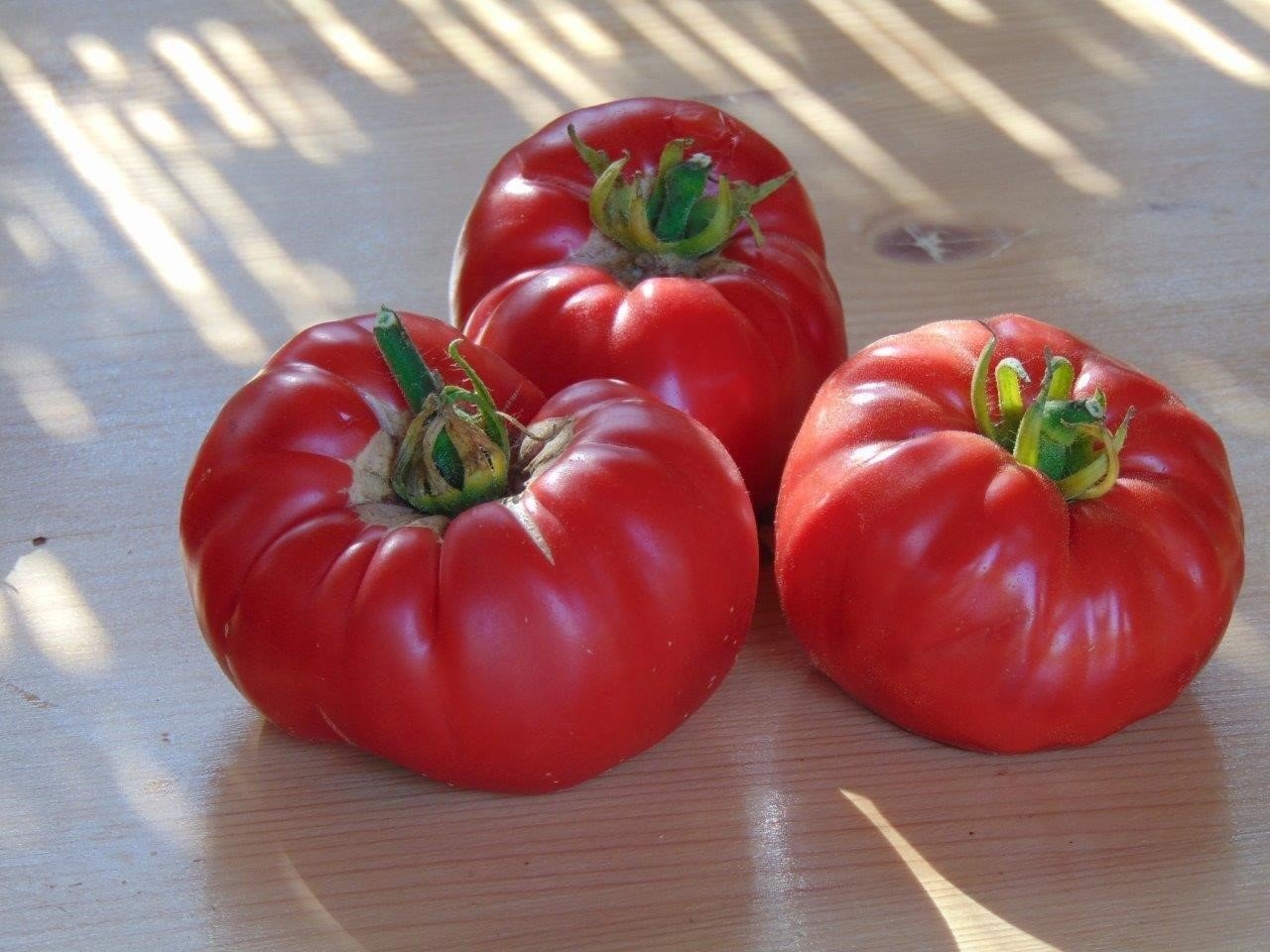 Soiuri de Rosii Traditionale Romanesti - Gradina Mirelei