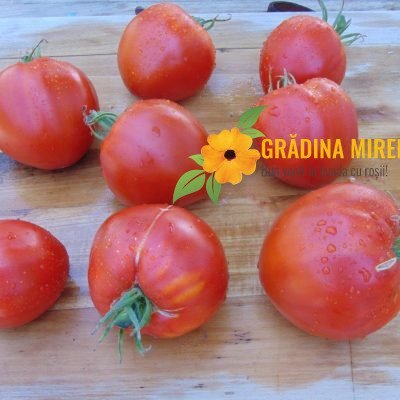 Seminte de rosii soiul Inimi de Hida, rosii inima de bou