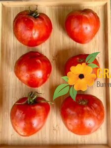 Seminte de rosii soiul Inimi de Hida, rosii inima de bou