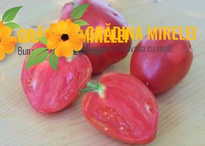 Roșii de Balomir - Grădina Mirelei