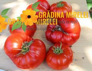 Roșii de Letea - Grădina Mirelei