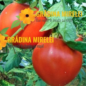 Inimă Schit Sărăcsău - Grădina Mirelei